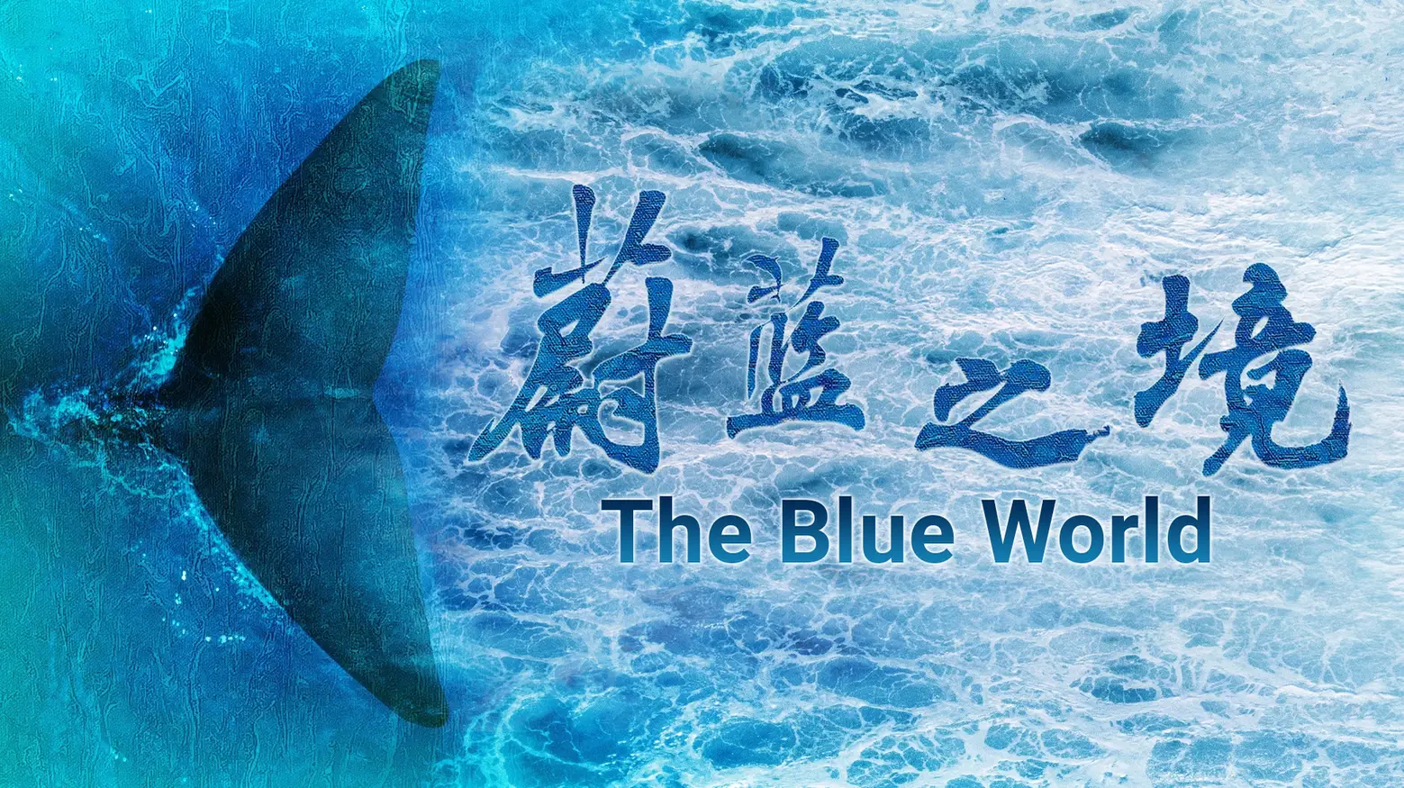 The Blue World | sooka